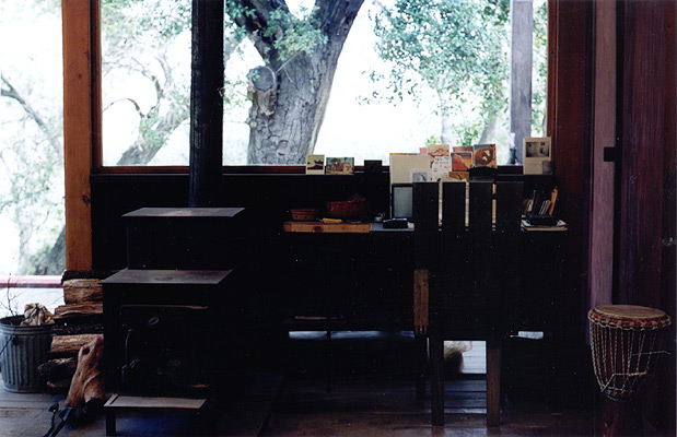 Miranda Stone [photos & film (all of you, all of us)]